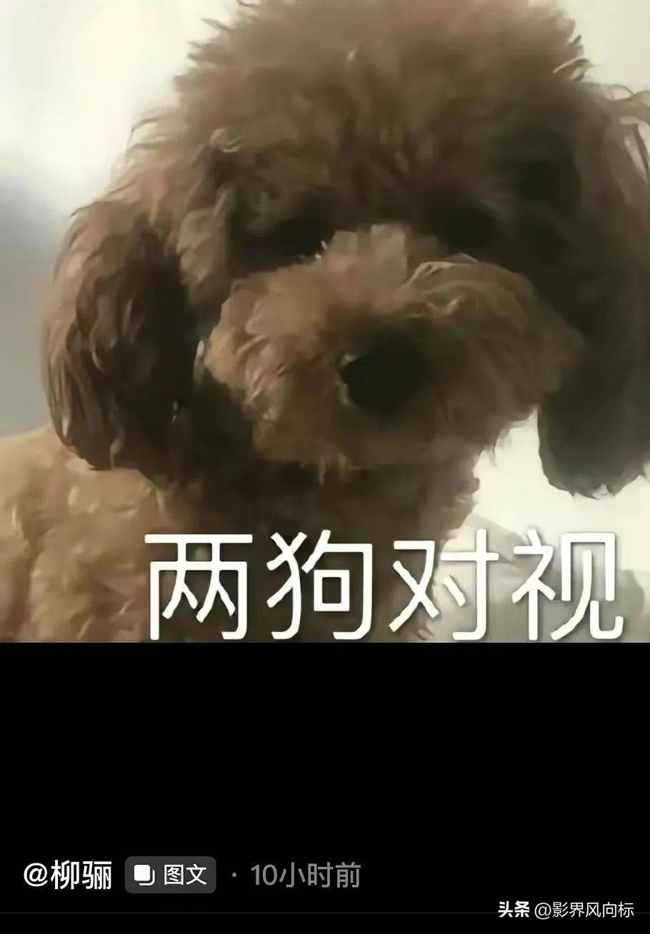Sing! China's female director is arrogant and domineering, publicly ...