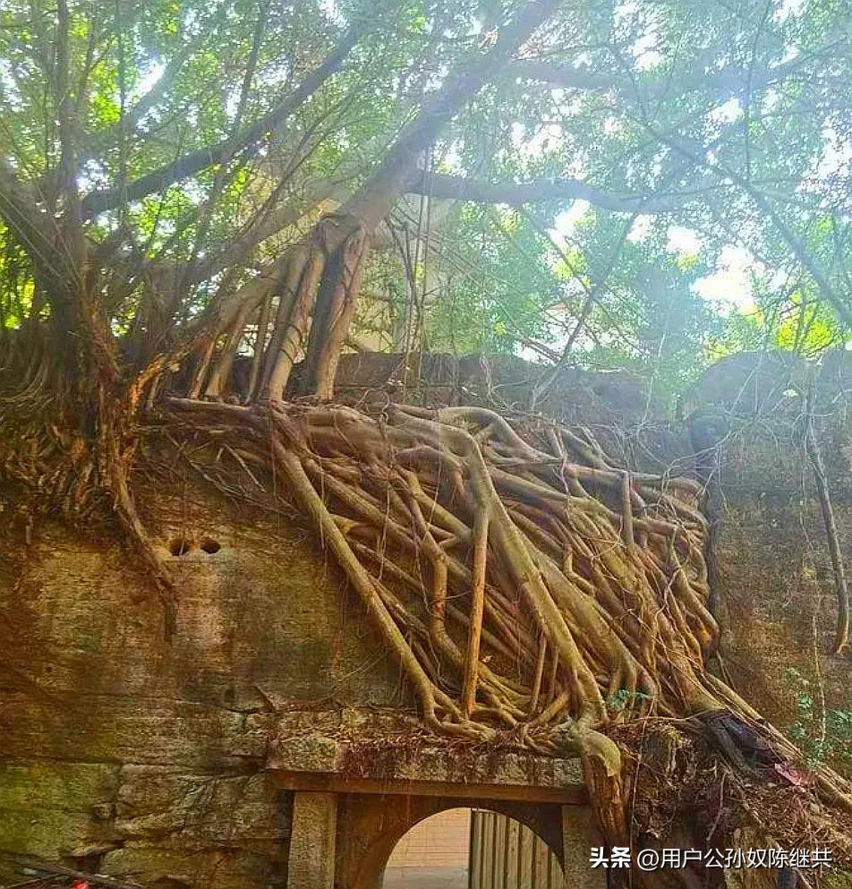 Mazhou Tulou in Zhangzhou: The overall dilapidation makes people worry ...