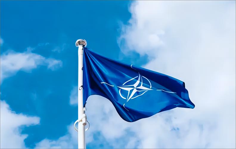 NATO's internal secrets: What are the facts behind the decision-making ...