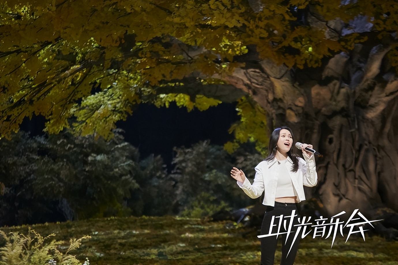 Zhou Shen sang "Big Fish" again to talk to his past self, and Adu sang ...