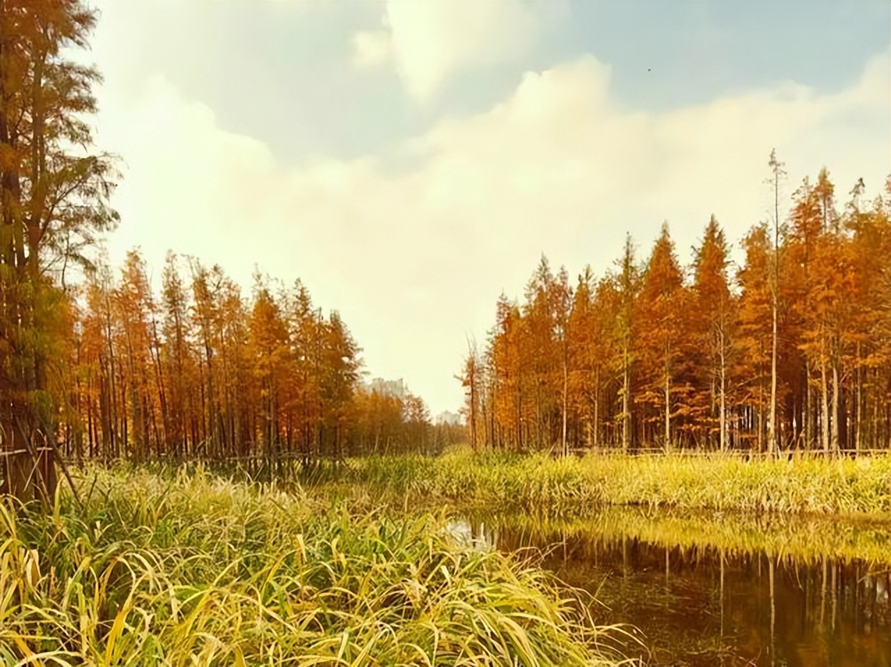 Appreciate the five most classic fragmented poems in history in 217 ...