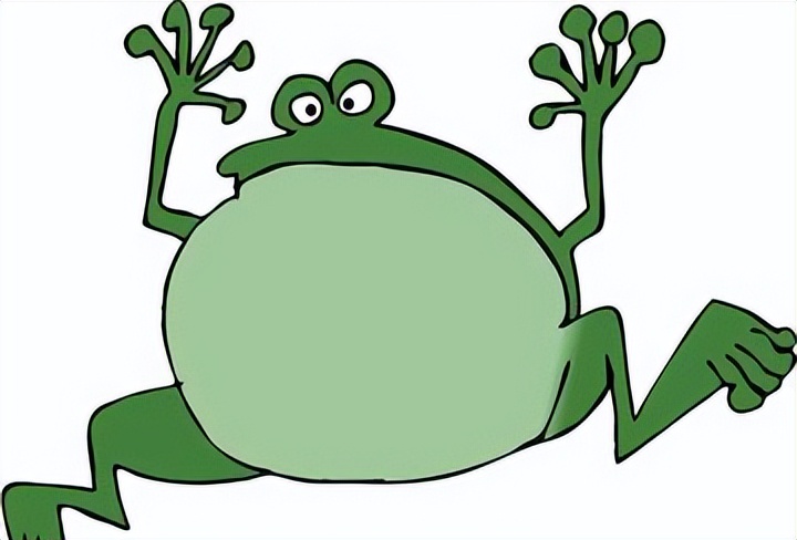 The largest frog in the world, also known as African delicacy, how big ...