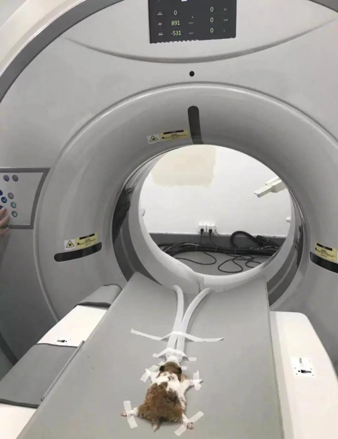 do physical examination cT - iNEWS