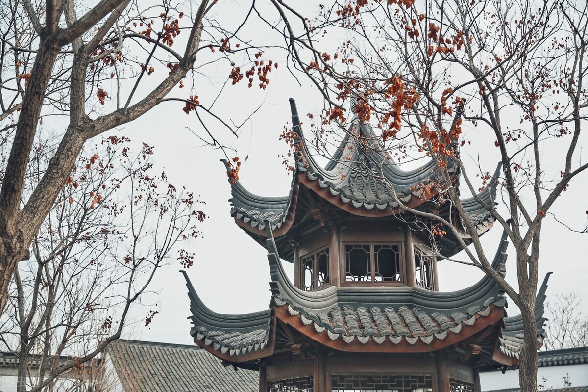 Ask about Jin Garden, the garden is not lonely in spring, the first ...