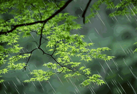 Listen to the rain on a spring night - iMedia