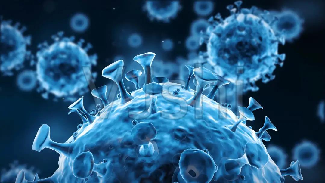 How does the virus mutate - iNEWS