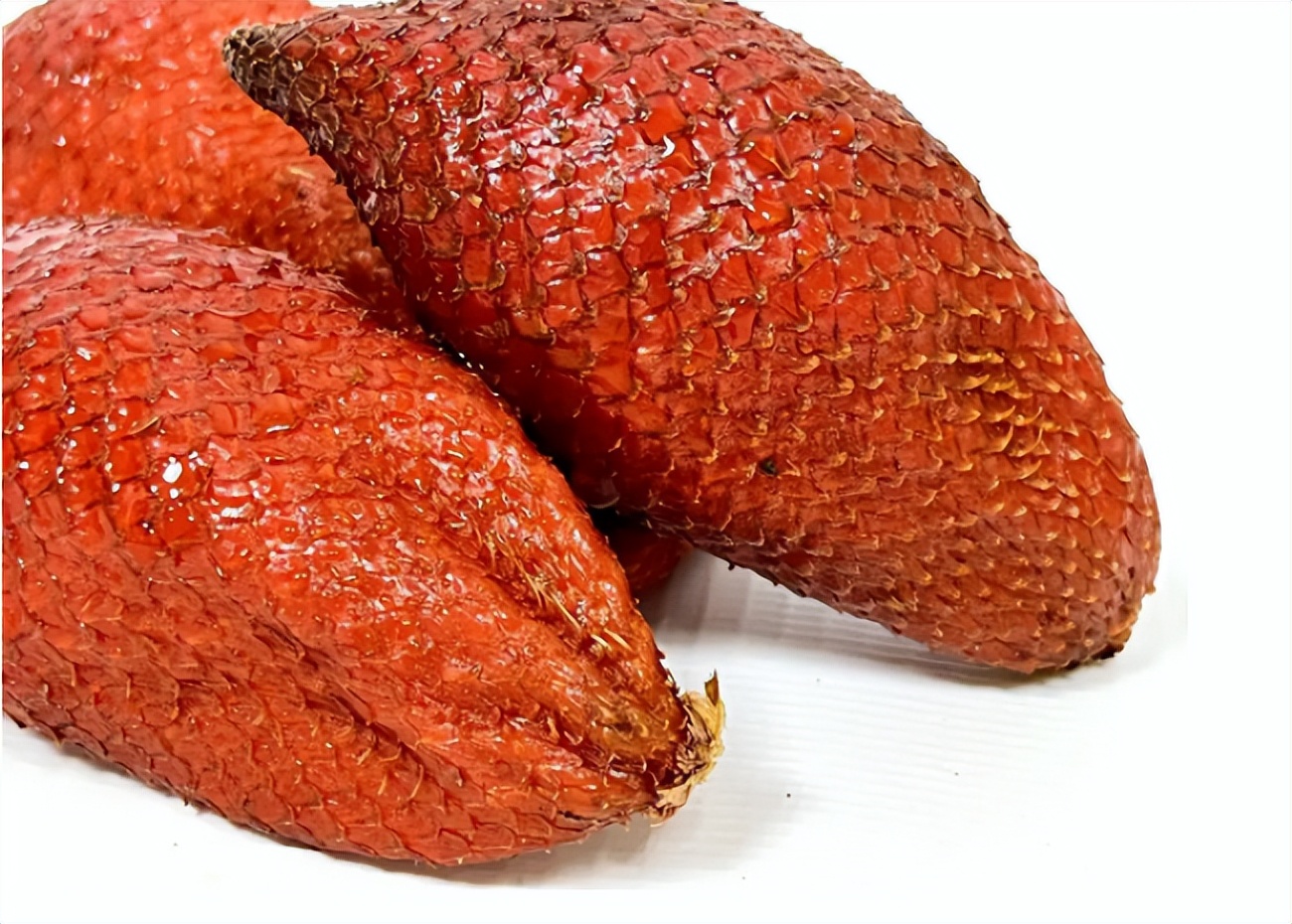 Snake Fruit: Mysterious Appearance, Treasure House of Nutrition - iNEWS