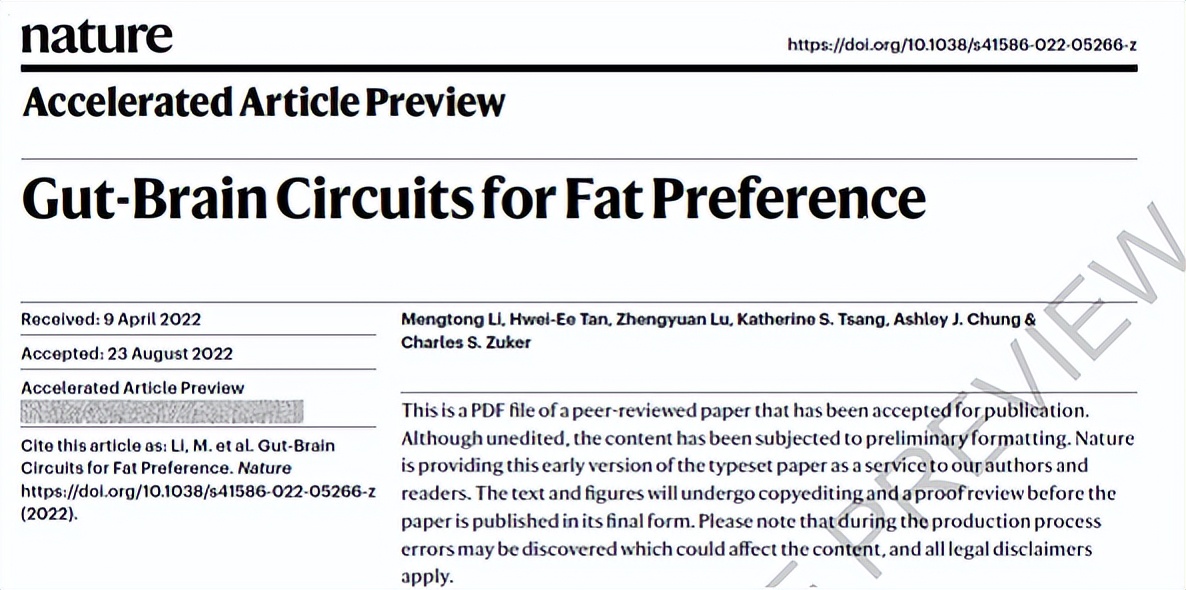 The brain-gut neural circuit: the physiological basis of fat 'addiction ...