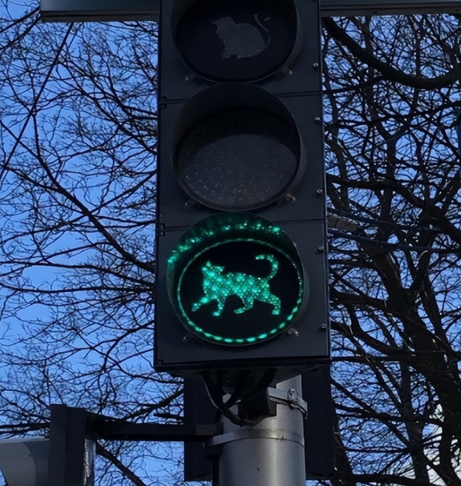 Fighting Nation Cat Traffic Lights... "It's kinda cute, but not sure, I ...