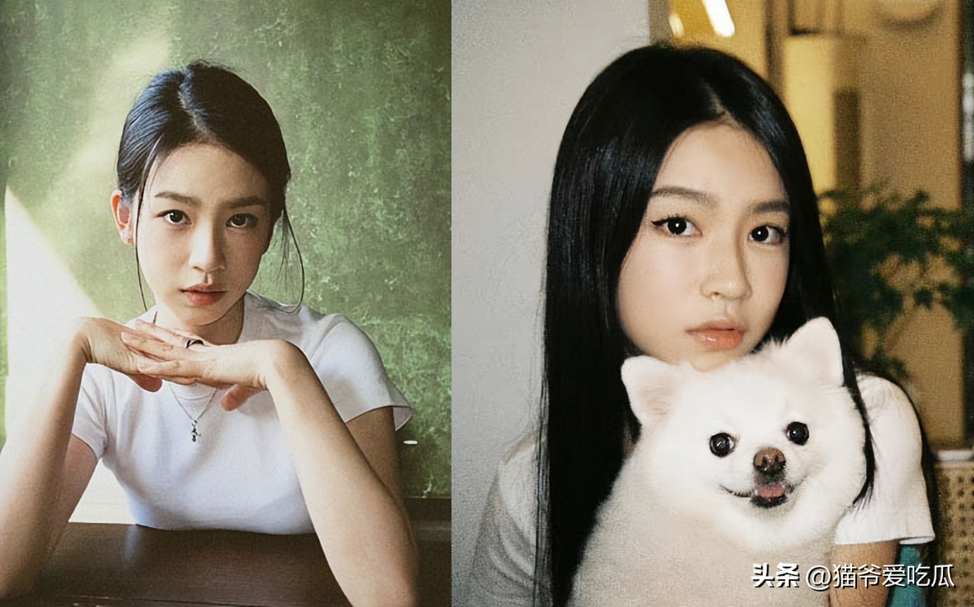 "The Ever Bright Galaxy" Qi Hairui: A list of Liu Mengrui's profile ...