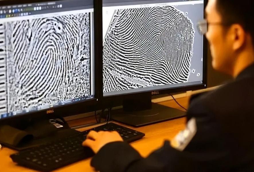 The bucket and dustpan of human fingerprints, hiding a genetic curse ...