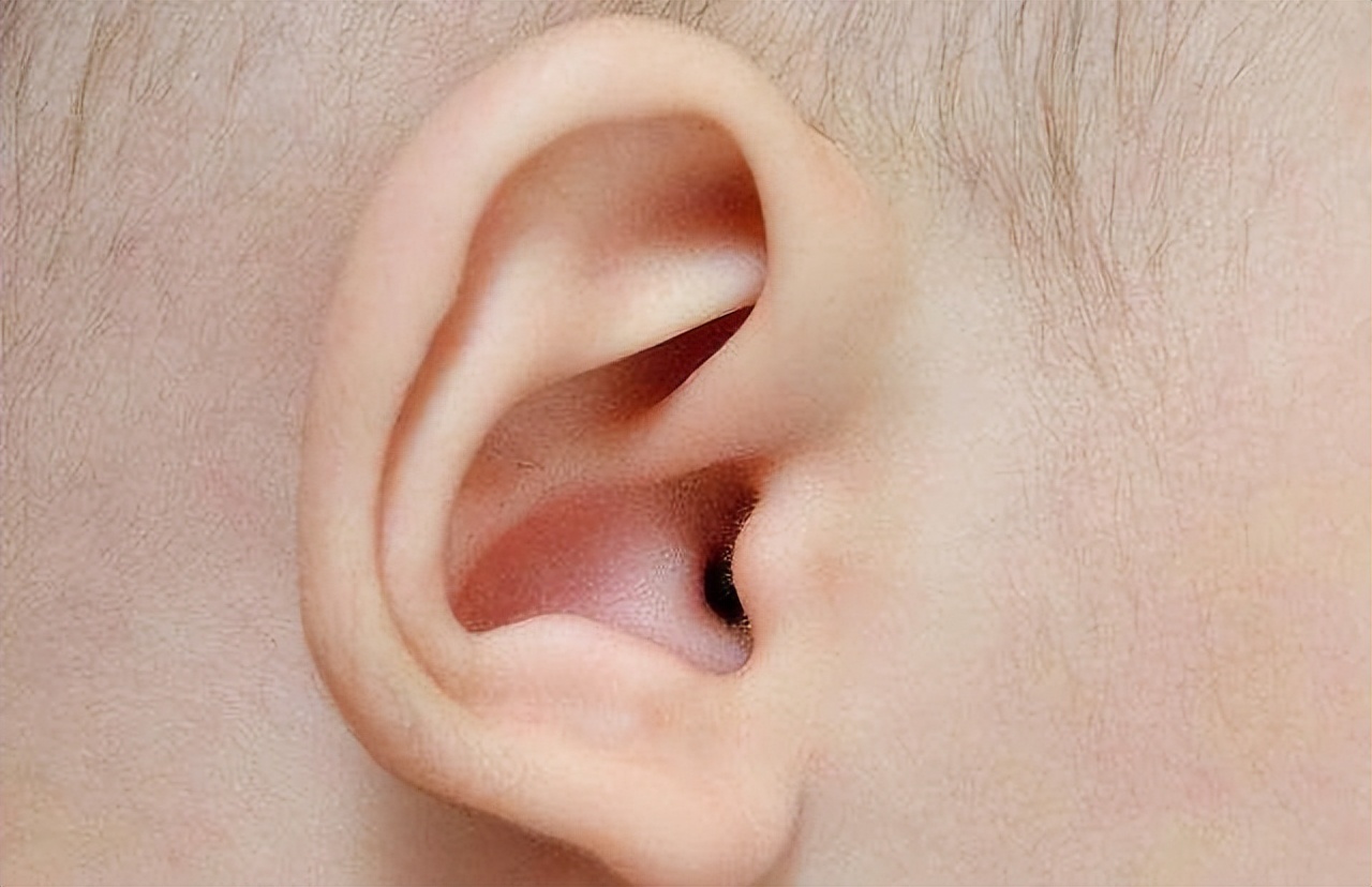 What is the difference between "poor ears and rich ears"?Different ears ...