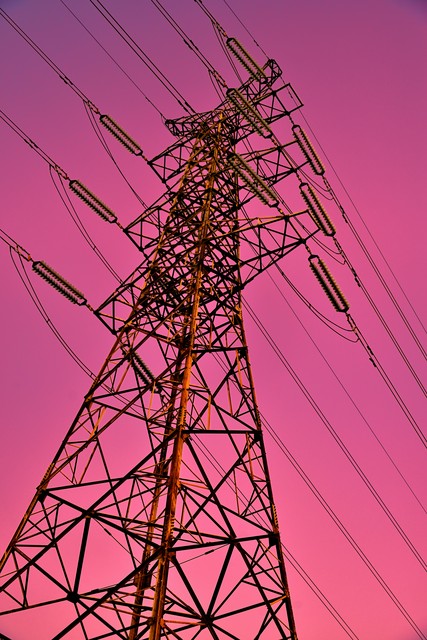 Tesla and Morgan: One is a future man, the other is a financial giant ...