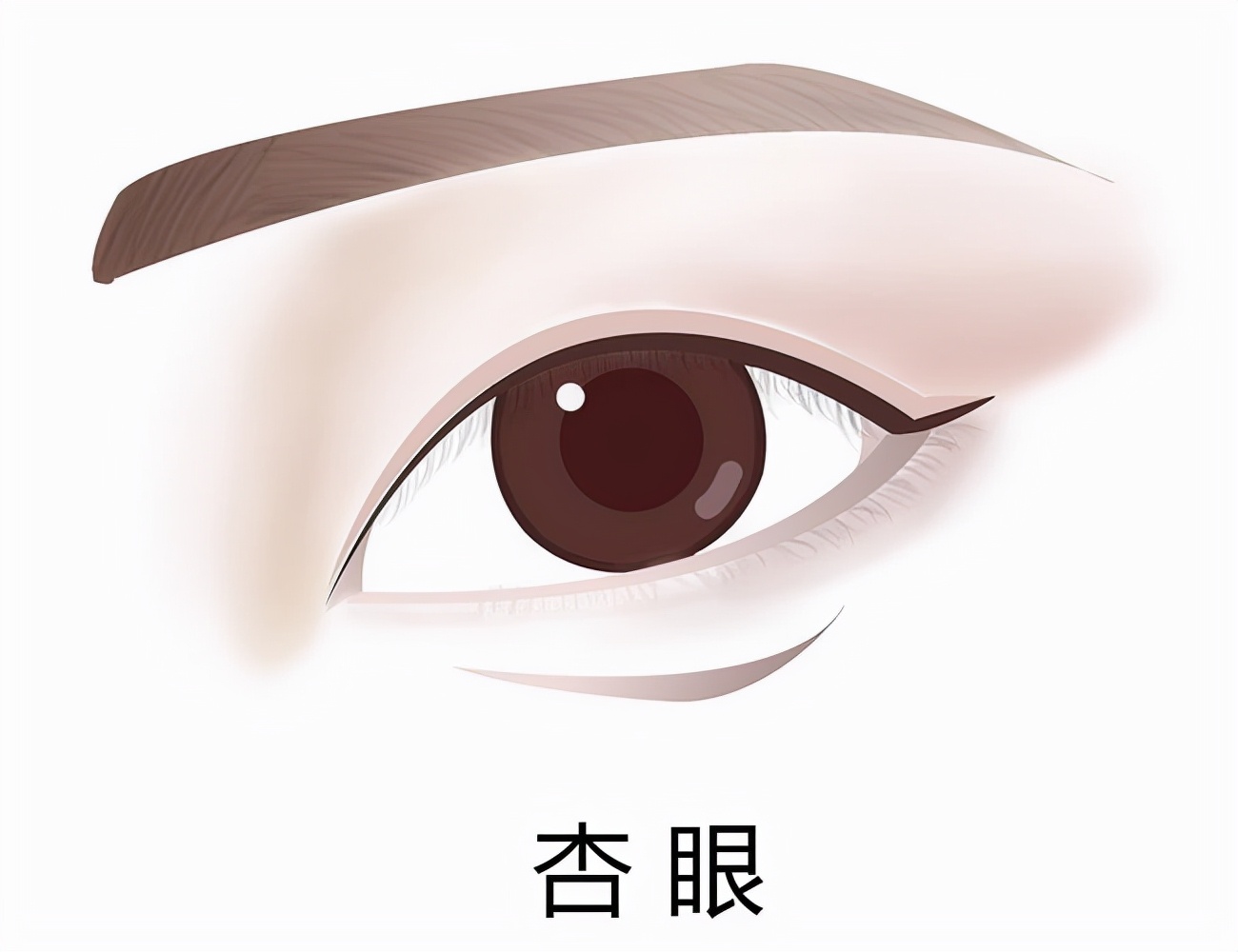 10 common eye shapes in China, which one are you? - iMedia