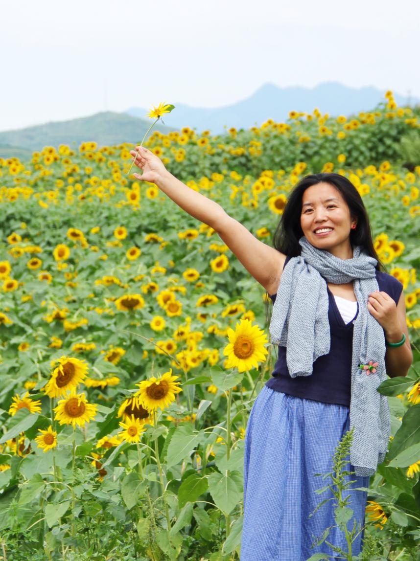 Beyond slices! 4000 acres of oil sunflowers are in full bloom! - iNEWS