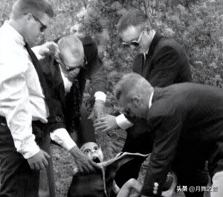 The United States has collected the remains of more than 30 aliens, and ...