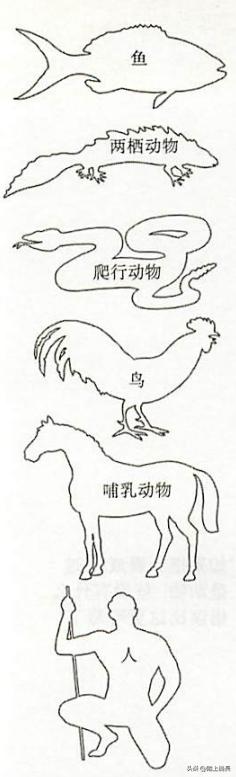 Wonderful life - 9. The insurmountable chasm (Part 2) - iNEWS