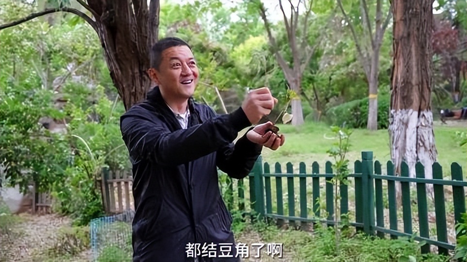 Li Yapeng was executed for 40 million yuan, the small courtyard in ...