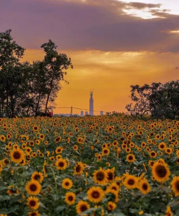 "There are three rituals not to follow", no matter how embarrassing you ...