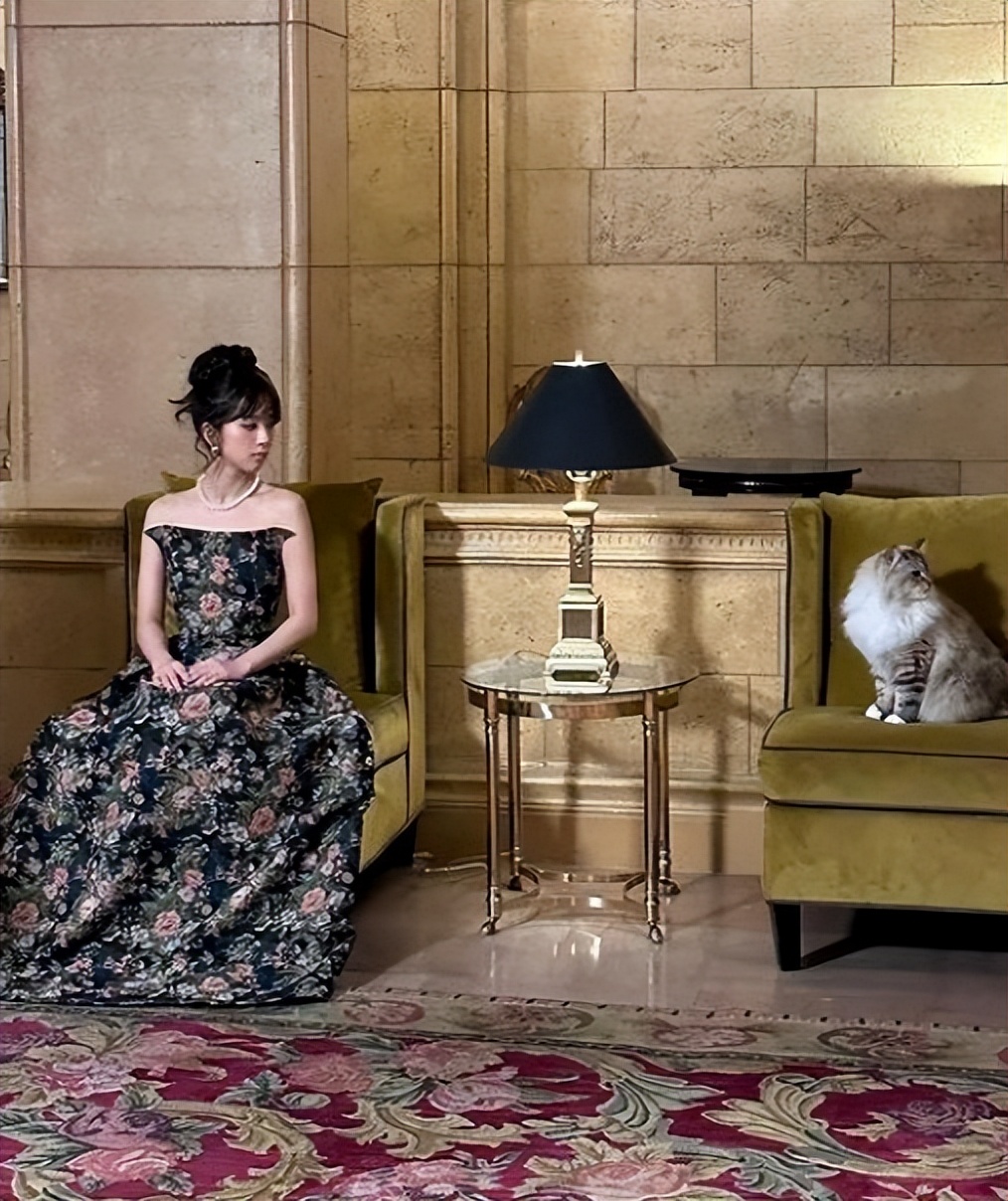 Blackpink Jisoo Jisoo "Cat photo that makes cats jealous" - iMedia