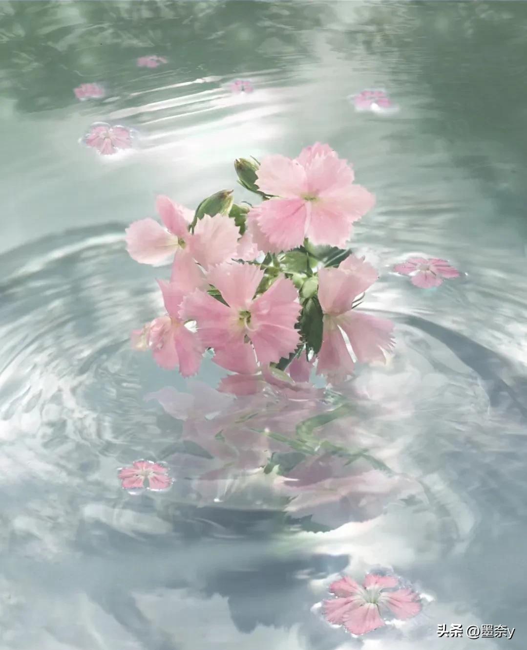 Yun Meng Chu Poems Yellow Crane - iMedia