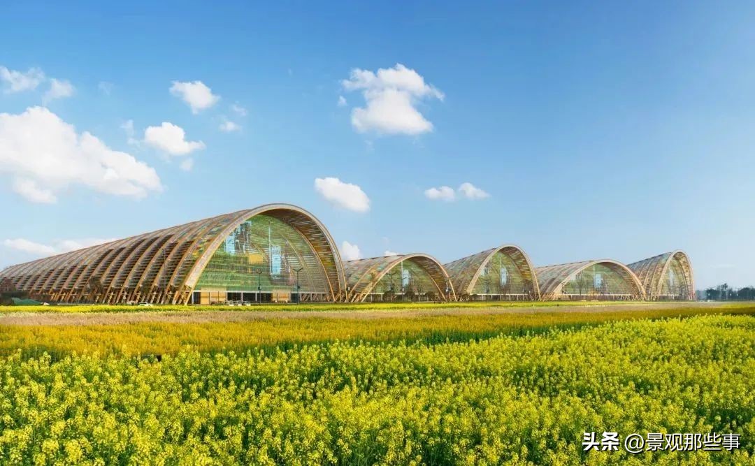 Explore ahead! Uncover the development path of China's future wooden ...