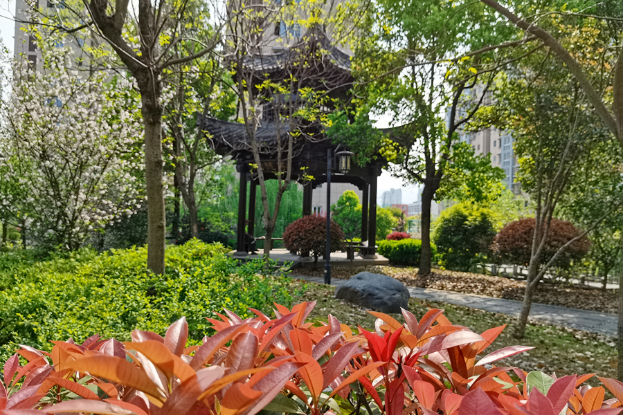 General Han Dang who can't rest his eyes - iNEWS