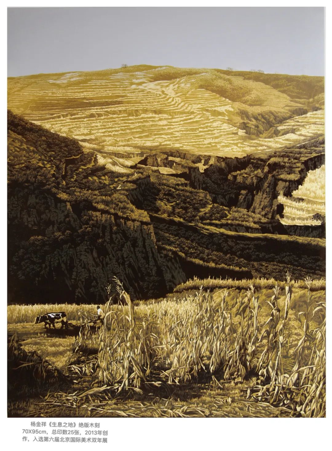 Rice Iron Soldier Painter——Yang Jinxiang - iNEWS