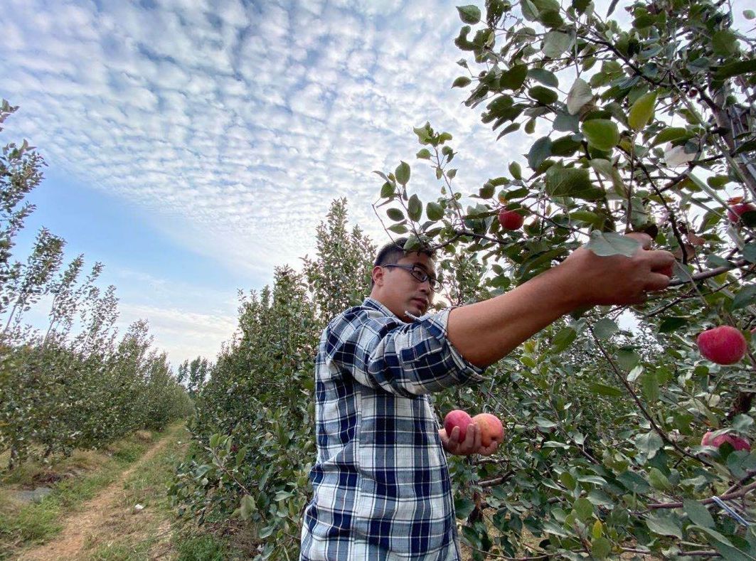 Amazing!A red apple that can prevent cancer?Dietary fiber content ...
