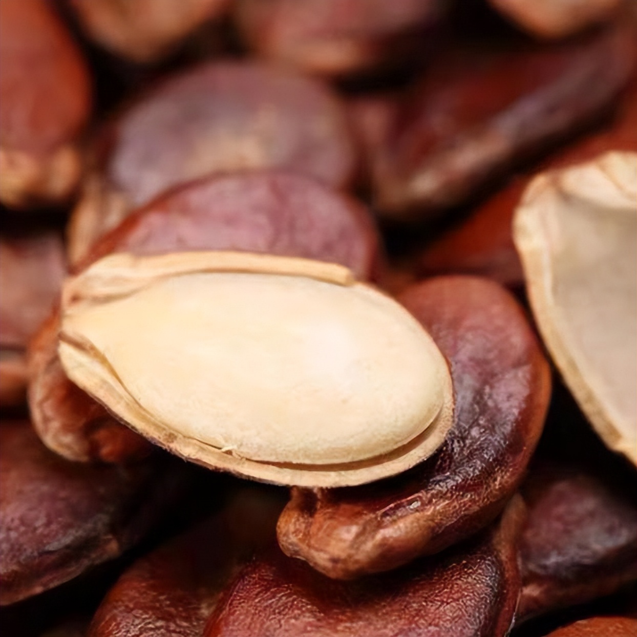 Hezhou specialty - Xindu red melon seeds - iNEWS