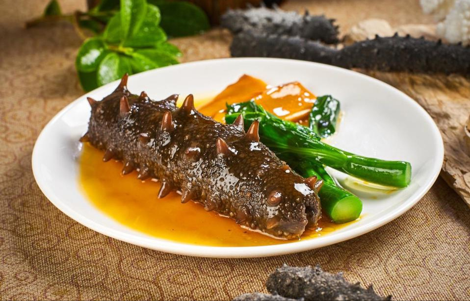 What happens to people who insist on eating one sea cucumber every day ...