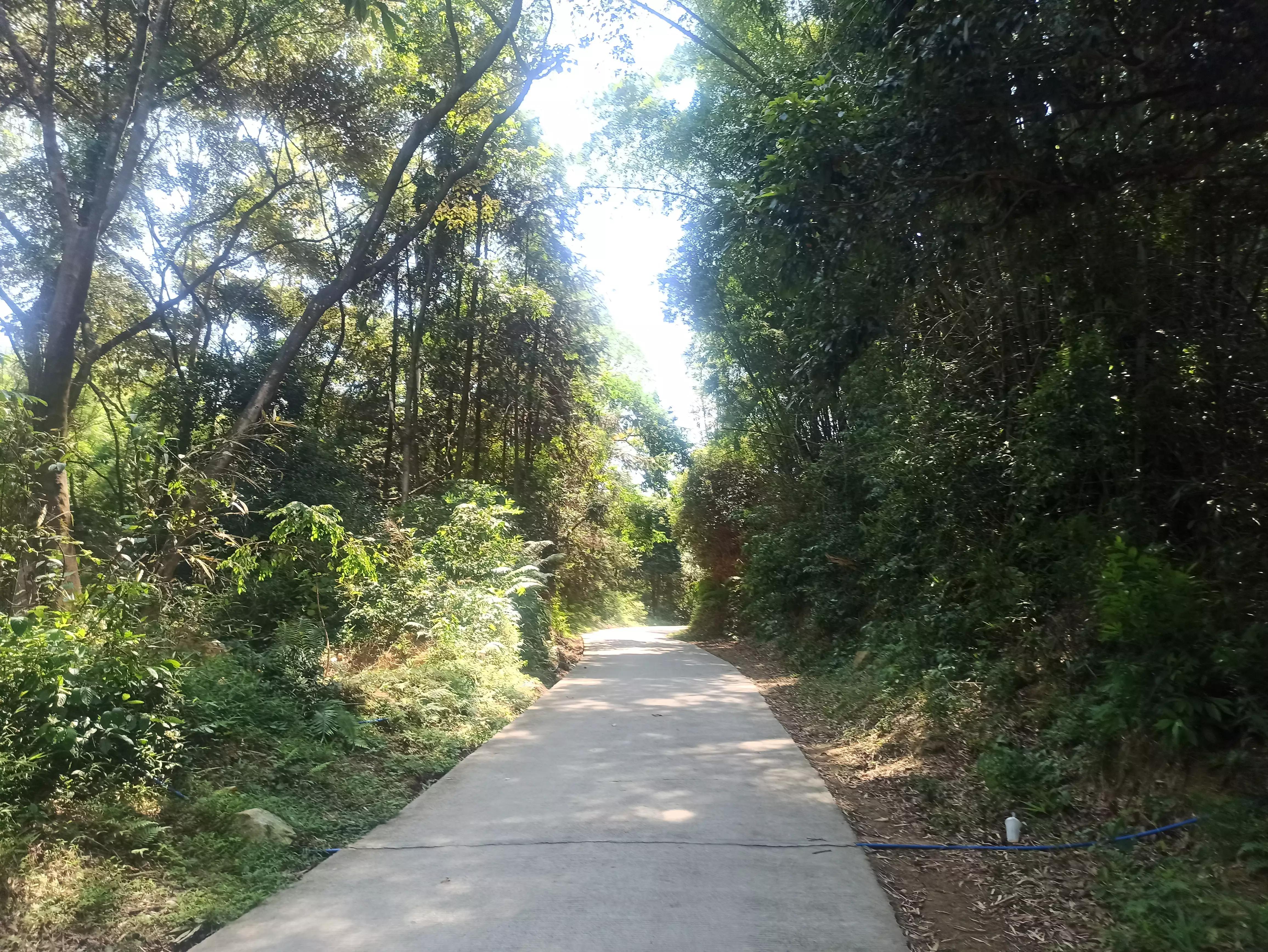 Guangzhou Youma Mountain Forest Park Small Tour - iNEWS