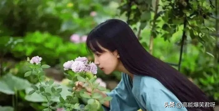 Why has Li Ziqi disappeared for a year?The situation is far worse than ...