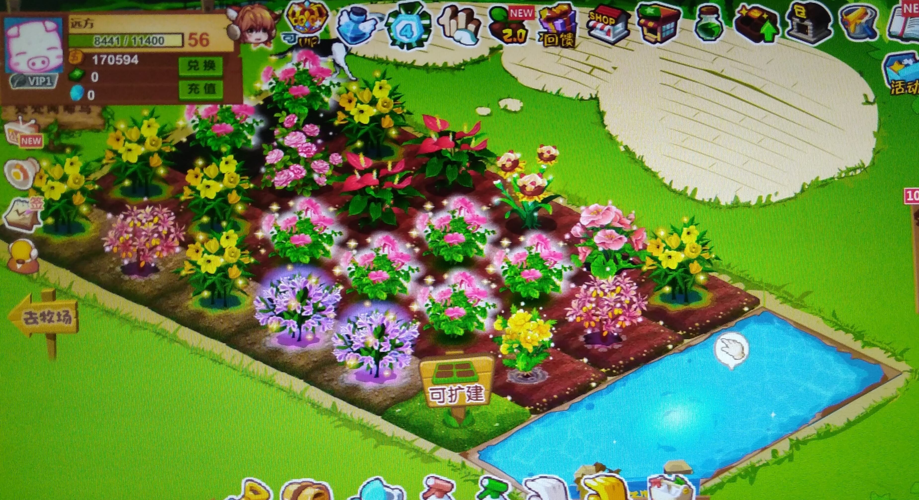 QQ Farm, Q Pet Da Le Dou, and QQ Home are the witnesses of a generation ...