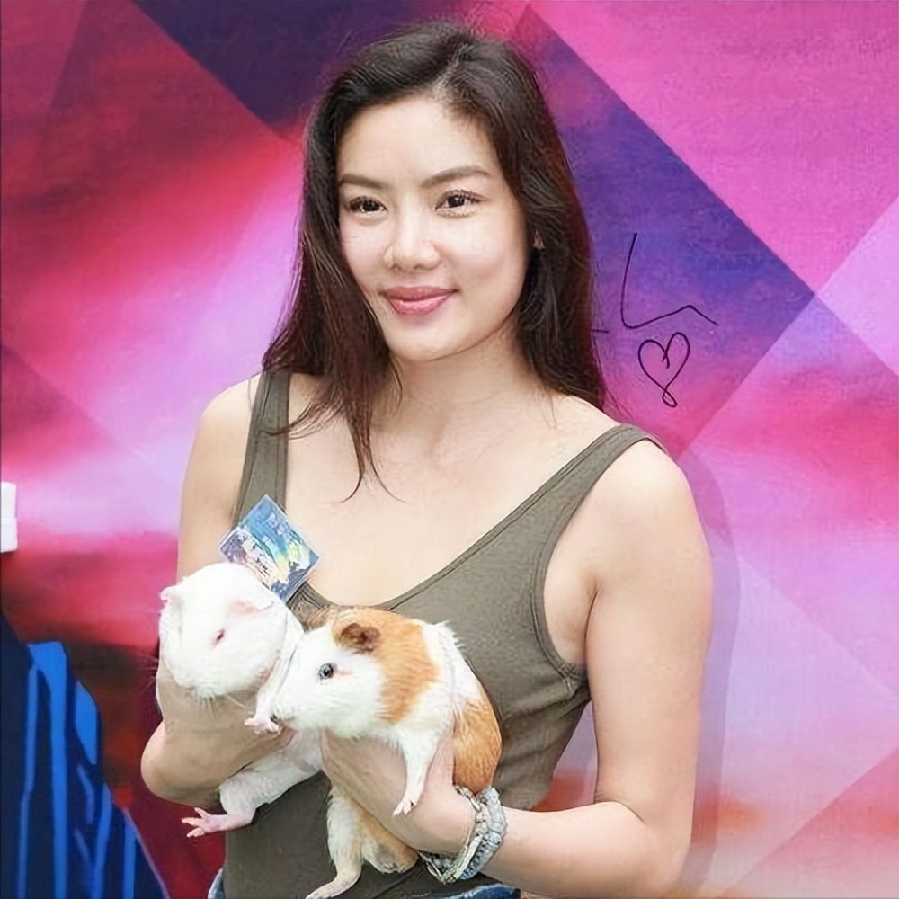 Le Jier announced the divorce, posted a group photo of the family of three and denied reunion ...