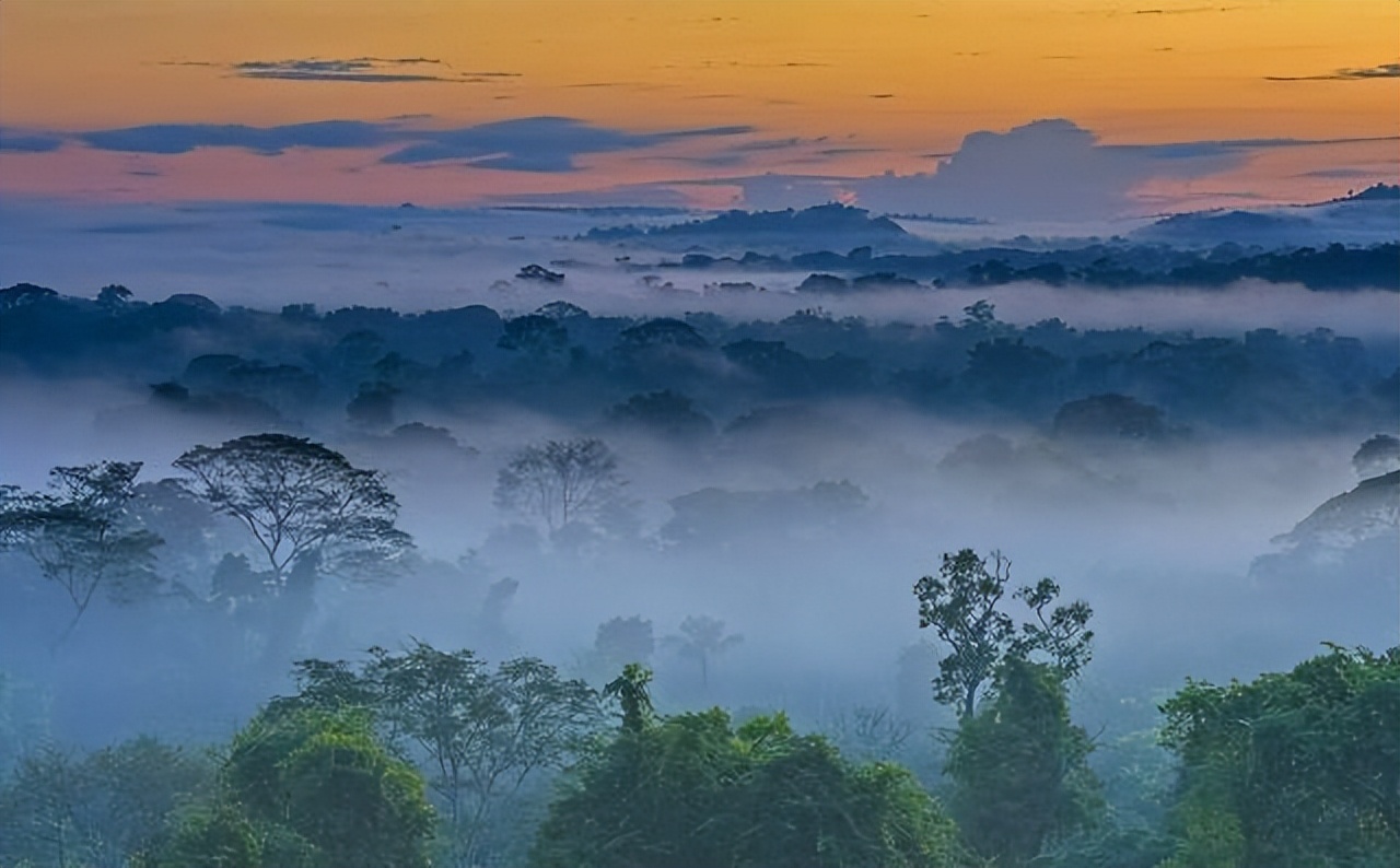 Why do so few people dare to go deep into the Amazon rainforest, known ...
