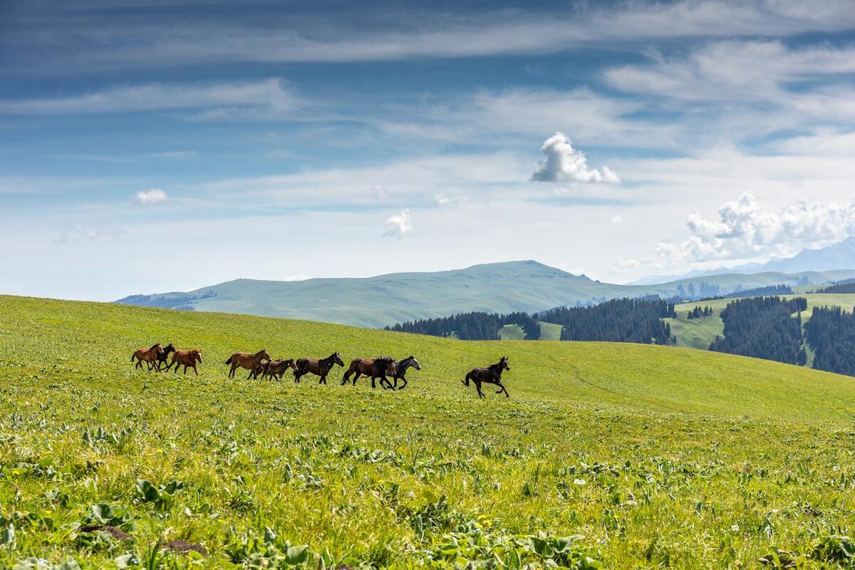 Did Li Guang in history really deserve his fame? - iNEWS