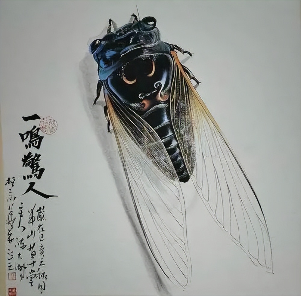 30 Cicada Song Poems, Feel the Warm Summer - iNEWS