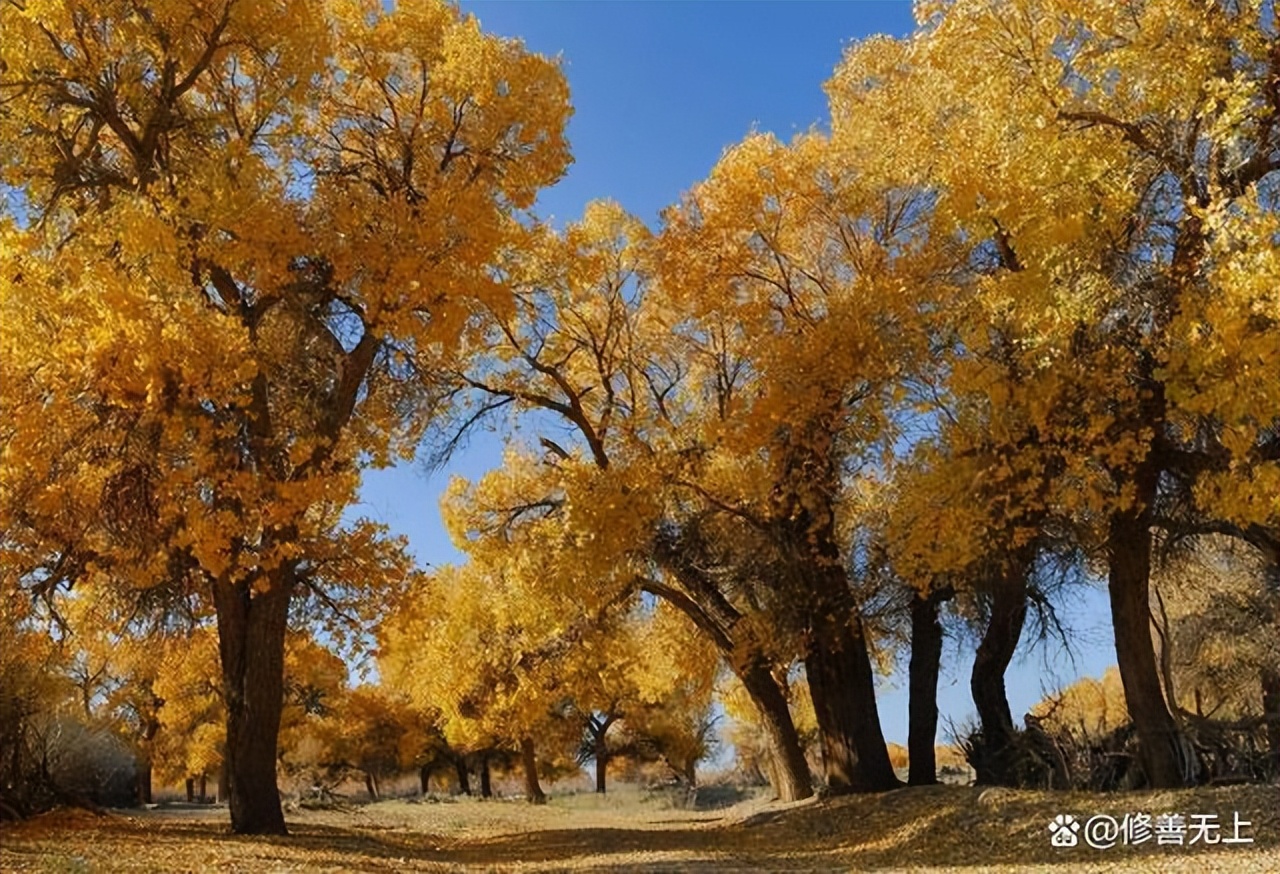 "Three feet up, there is a god", the first half of the sentence is more ...