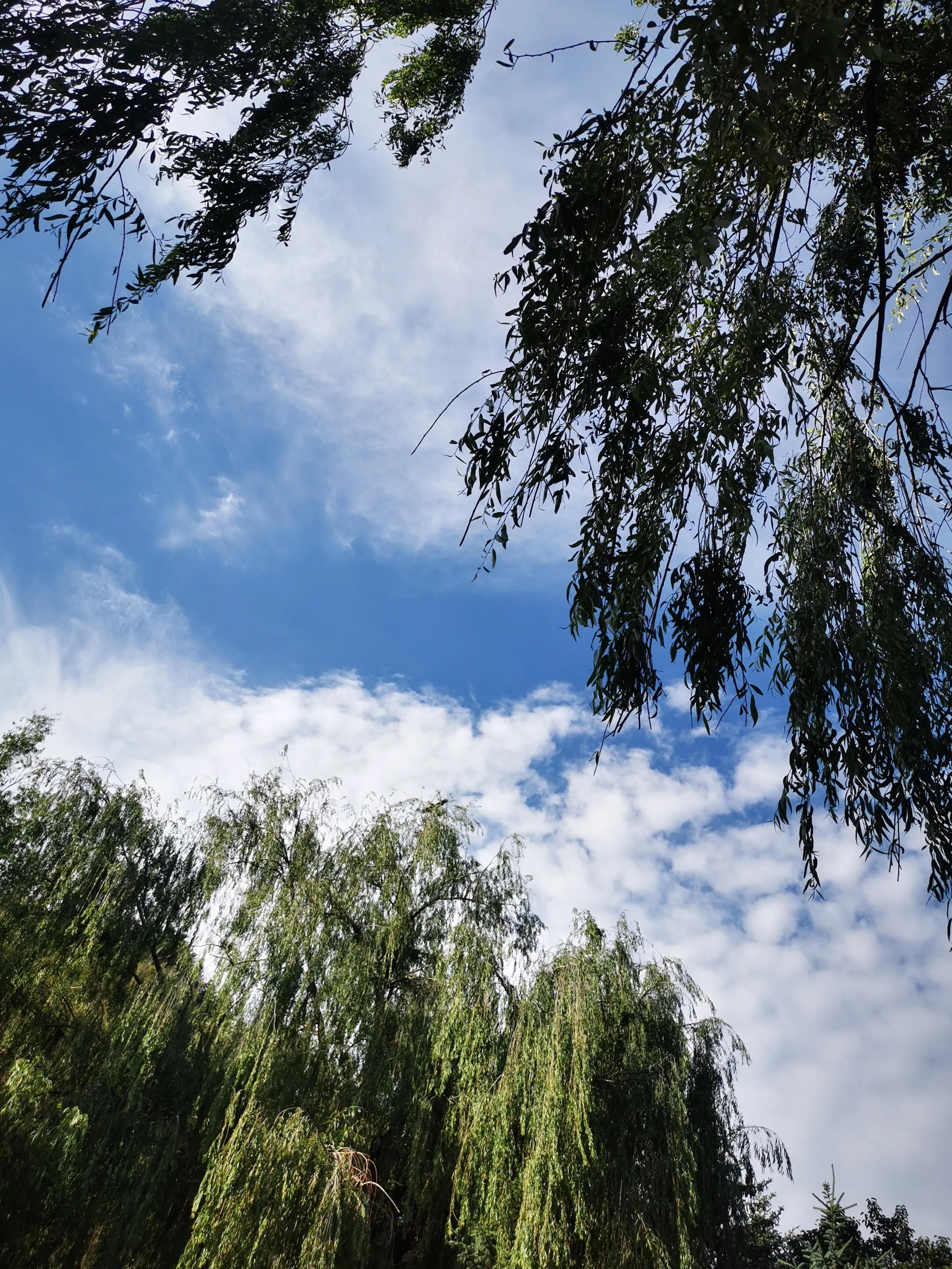 Original: Feng Rusong·Su Nanshan - iNEWS