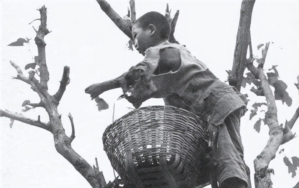 The six-year-old child Zhe Xinghua was beaten to death, and Liu ...