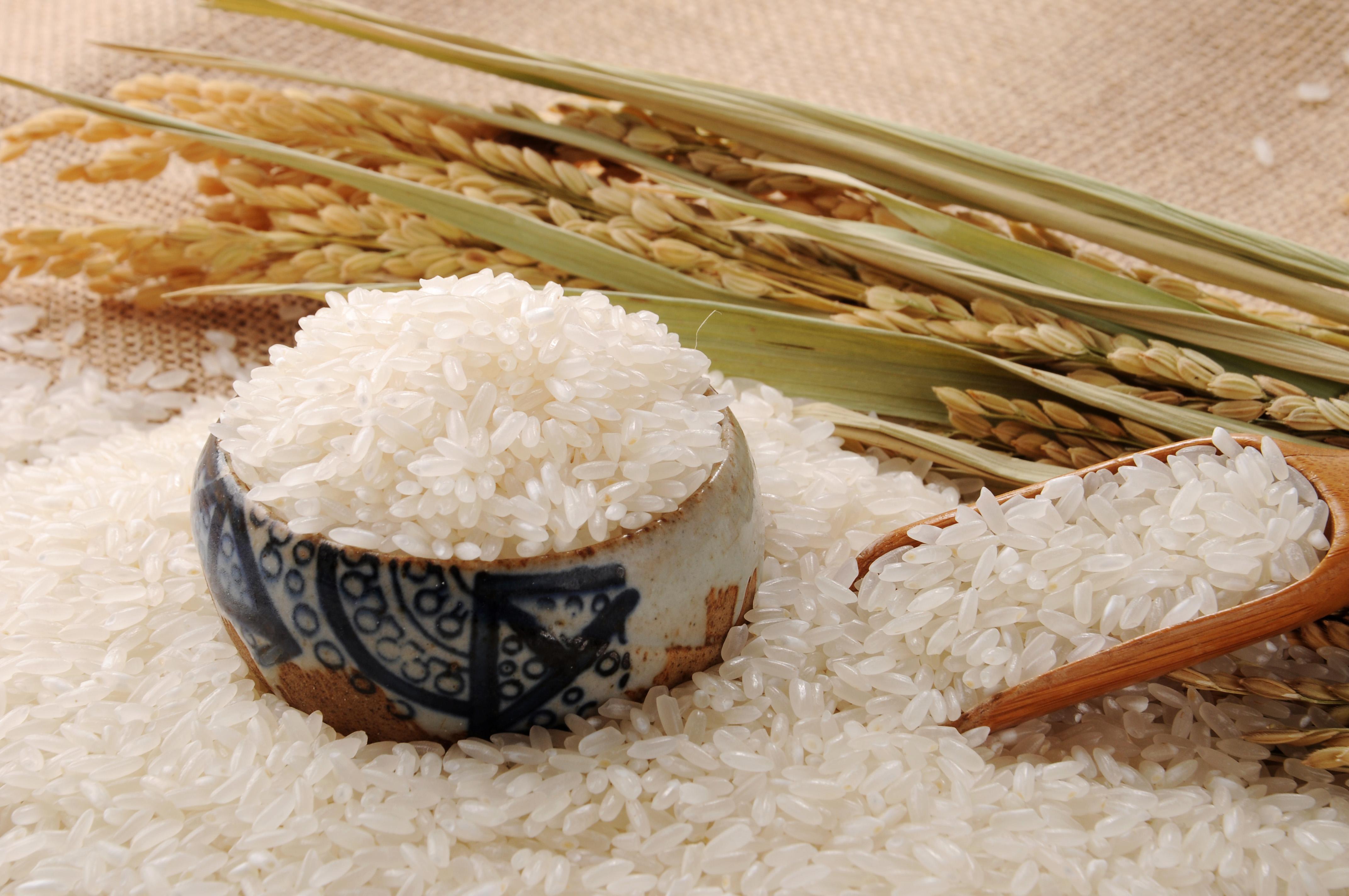 It turns out that Wuchang rice is also divided into different types ...