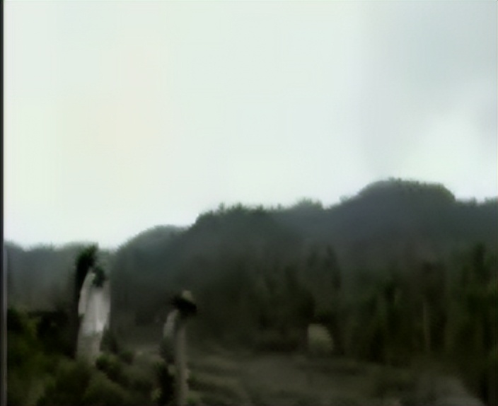 Can a corpse walk on its own?The corpse hunters in Xiangxi went into ...