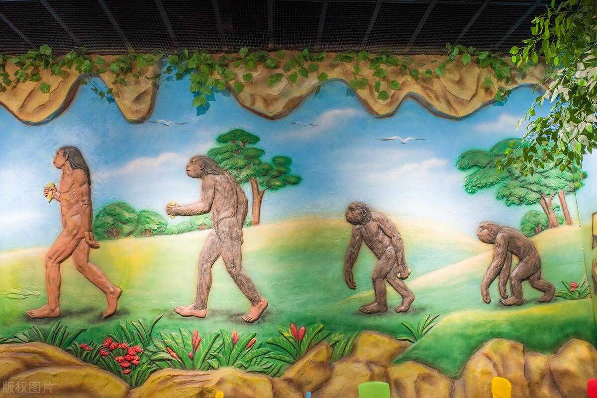 Evolution or Creation? A Comparative Interpretation of the Mystery of ...