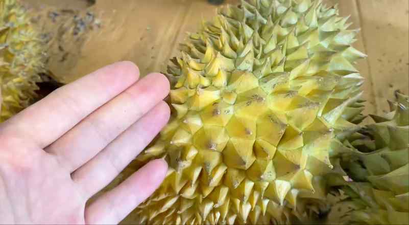 How to tell if durian is good or not? Teach you 4 tips to ensure you ...