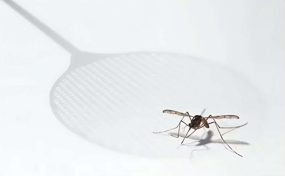 Happy Reading of "Talking About Mosquito" - iNEWS