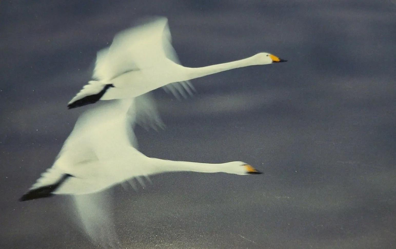 Luo Hong, the best photographer among entrepreneurs - iNEWS