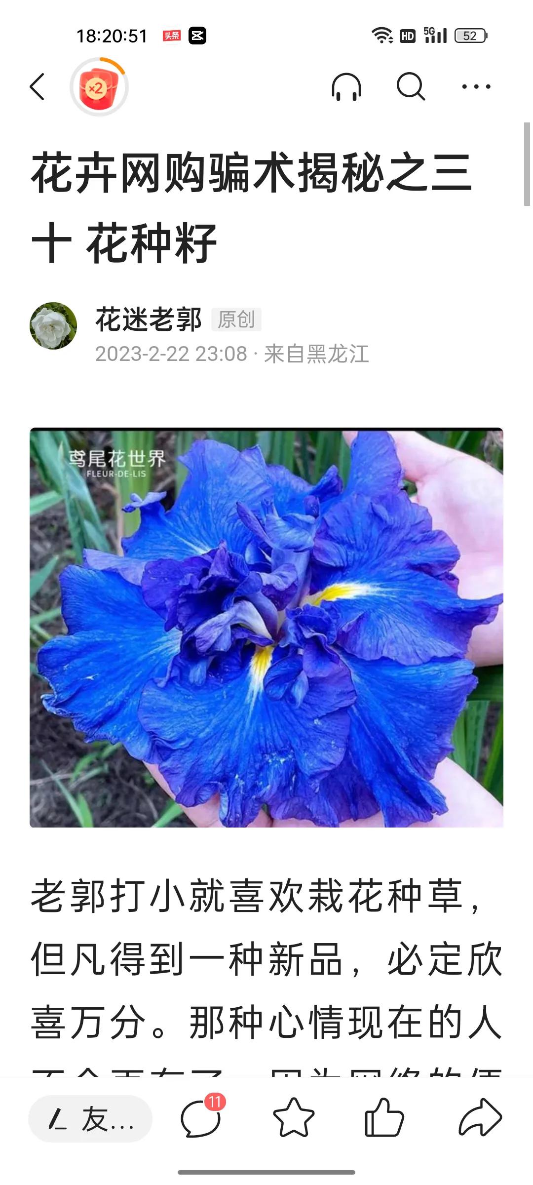The end of the deception of online flower sales fraud - iMedia