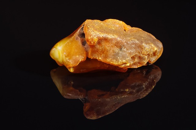 Ms. Ma from Myanmar picked up a rare Chang fossil 1,000 years ago ...