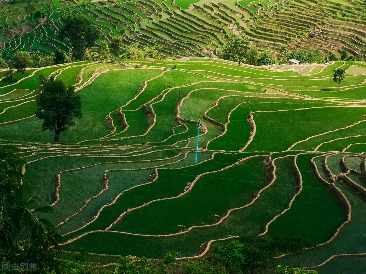 The equal land system, the ideal of the farming nation, became the ...